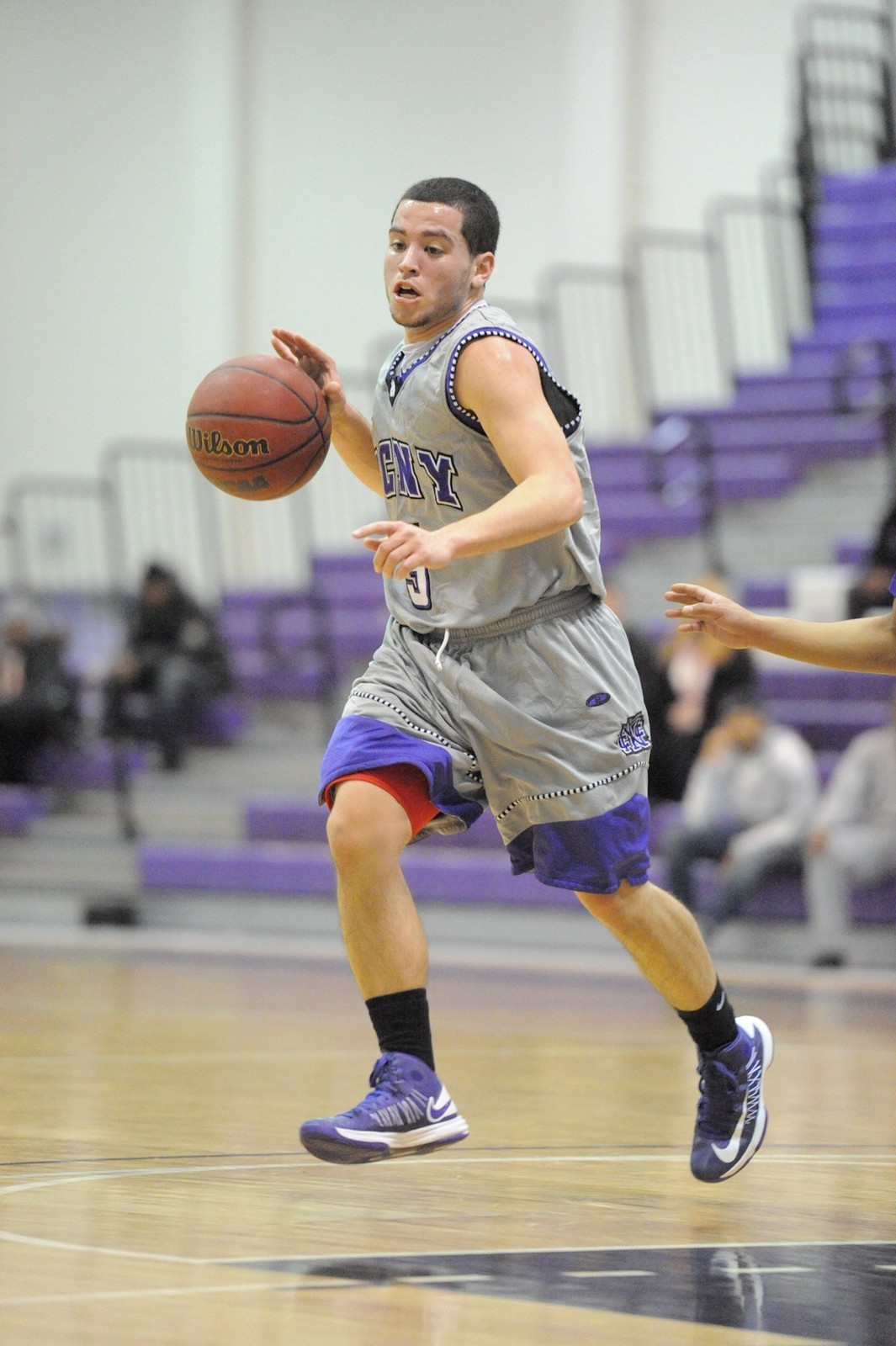 Nathan Lopez - 2013-2014 - Men's Basketball - The City College of New ...