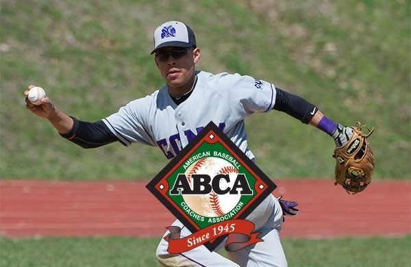 Gabriel Pena - 2015 - Baseball - The City College of New York Athletics