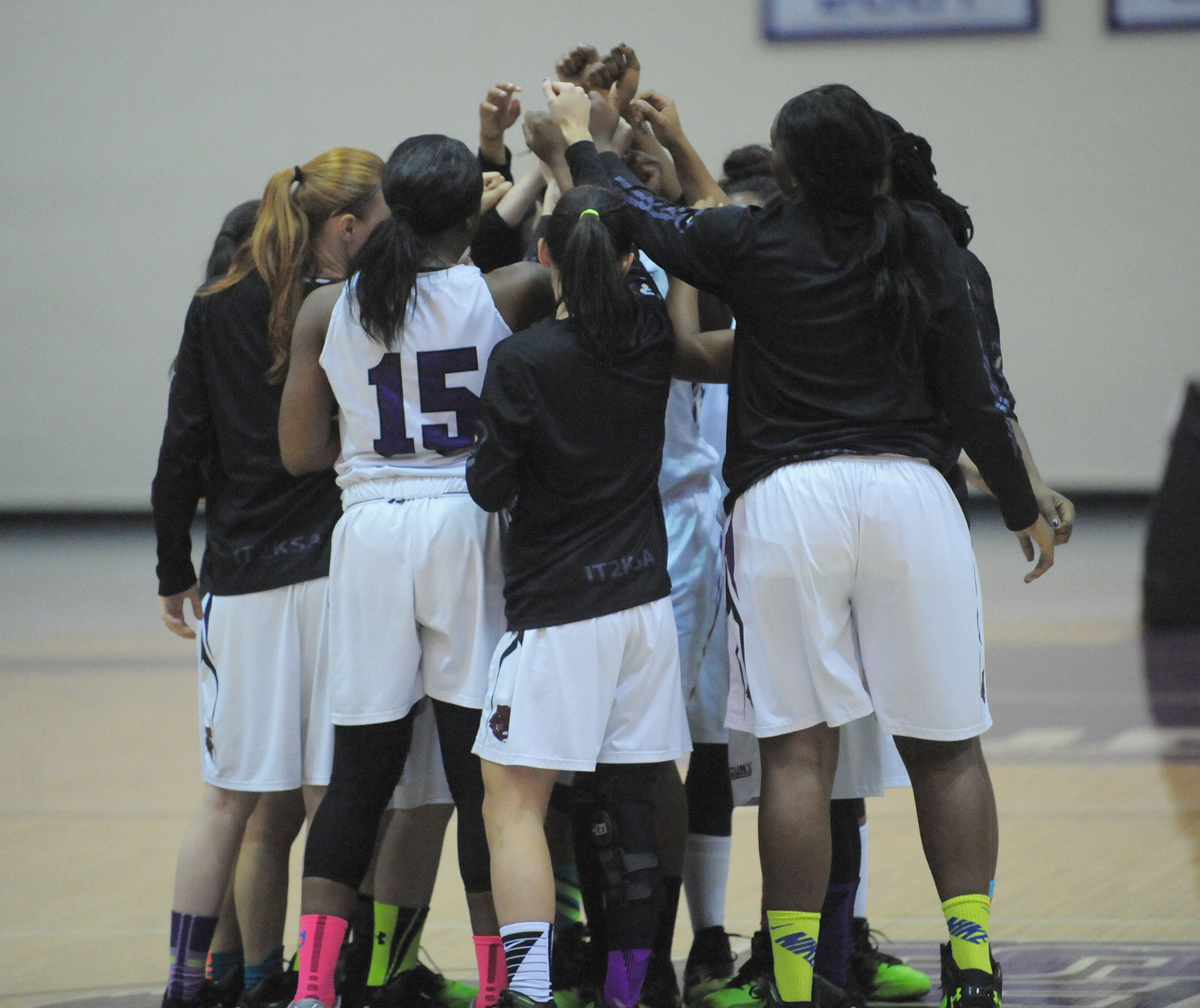 Alexis Akridge - 2016-17 - Women's Basketball - The City College of New ...