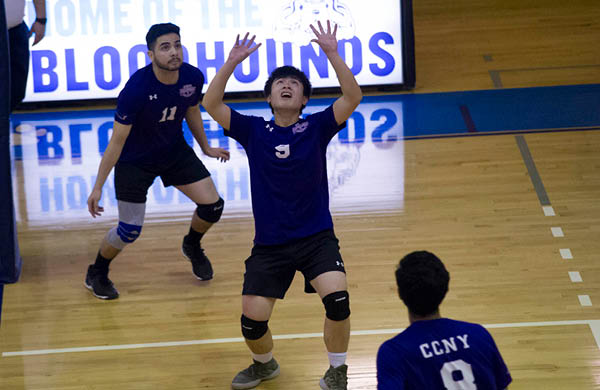 Andrew Chan - 2020 - Men's Volleyball - The City College of New York ...