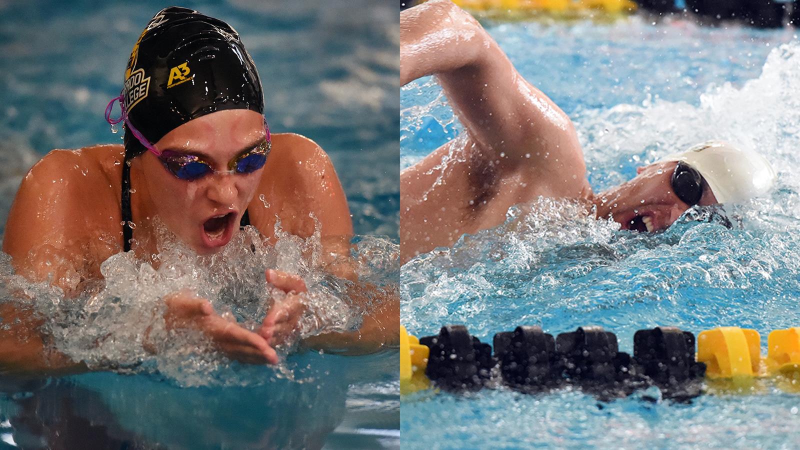 Ethan Hanson - Men's Swimming & Diving - Colorado College Athletics