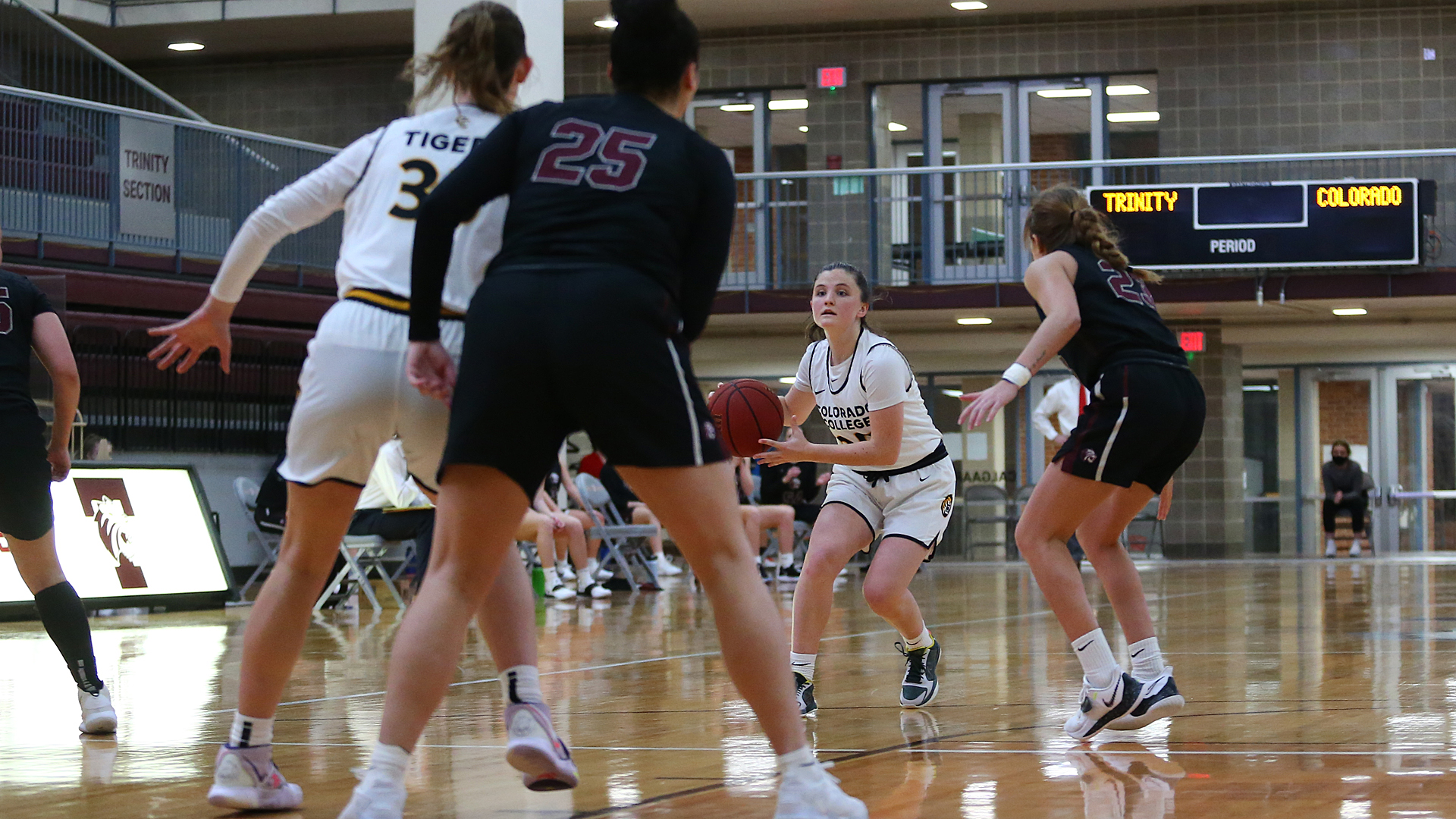 Anna Fanelli - Women's Basketball - Colorado College Athletics