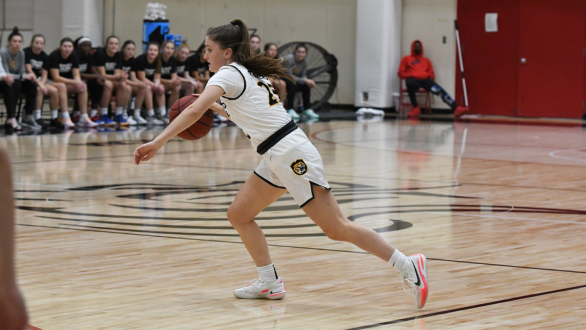 Anna Fanelli - Women's Basketball - Colorado College Athletics