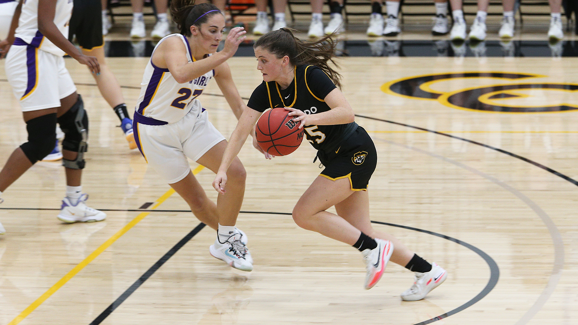 Anna Fanelli - Women's Basketball - Colorado College Athletics