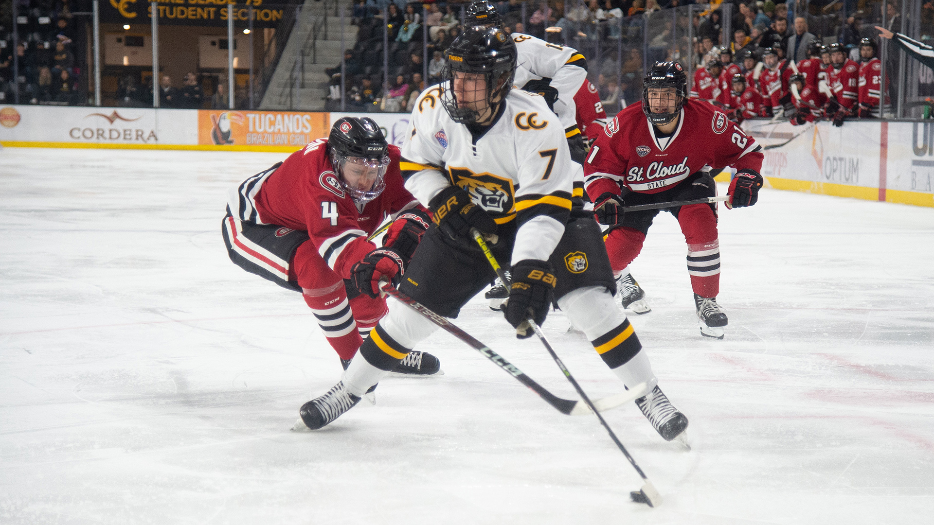 Chase Foley - Men's Ice Hockey - Colorado College Athletics