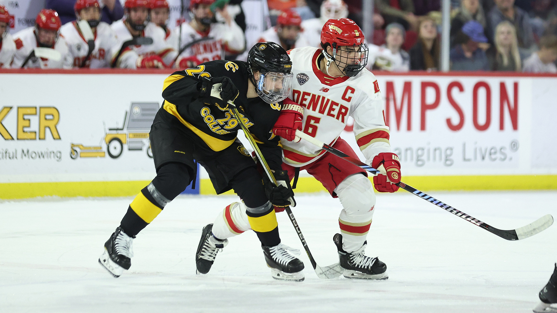 No. 10/12 TIgers Edged by No. 4 Denver in Regular-Season Finale ...