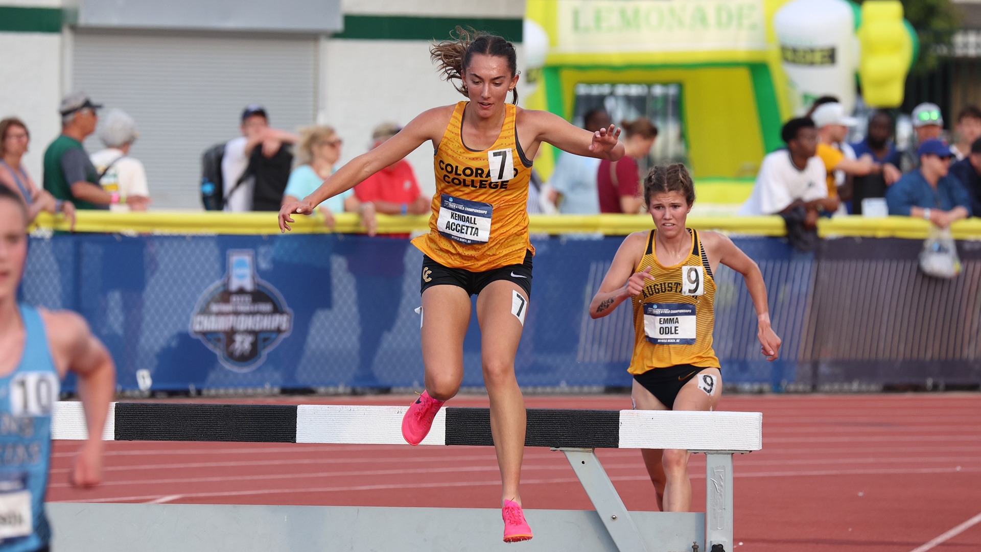 Accetta Qualifies For NCAA Steeplechase Final; Williams Competes in 200 ...