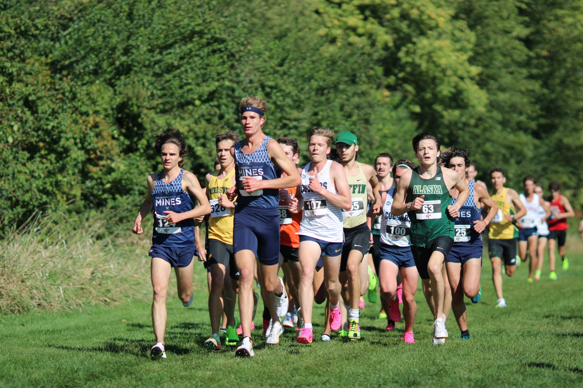 Matt Storer Honored as USTFCCA Athlete of the Week, RMAC Runner of the ...