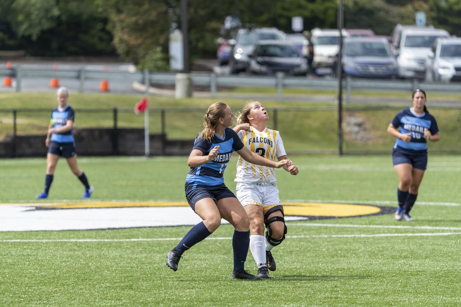 Jordan Cicio - 2022 - Soccer - Cedar Crest College Athletics