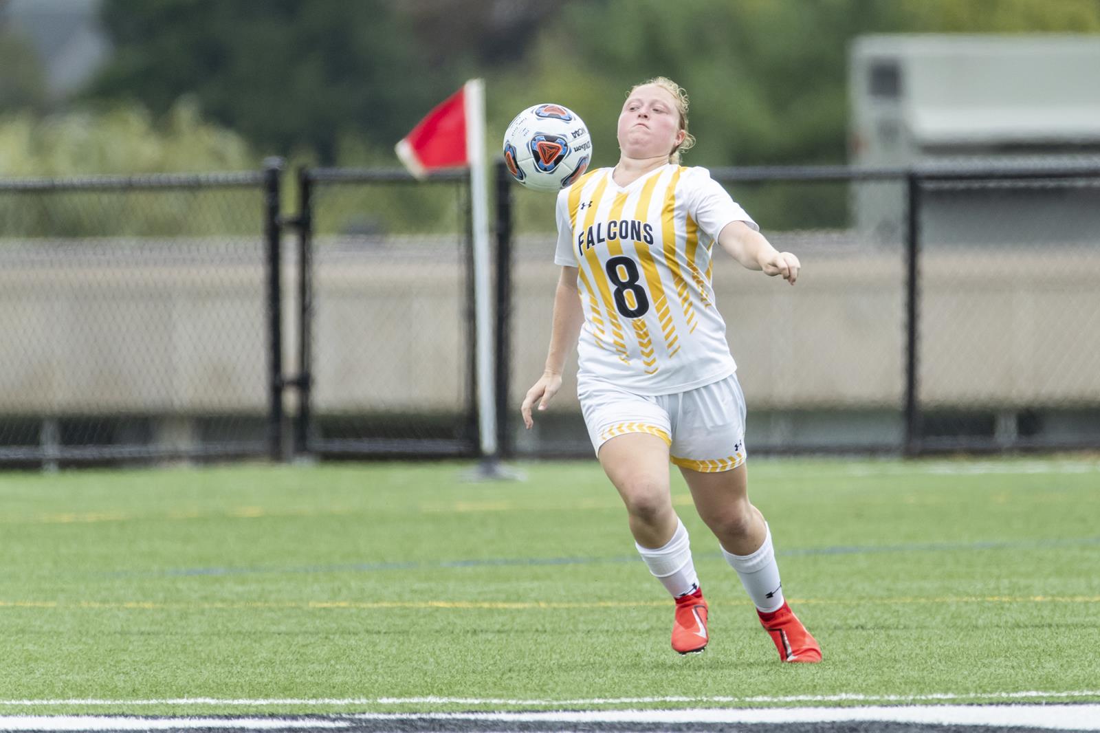 Kelsey Kehm - 2019 - Soccer - Cedar Crest College Athletics