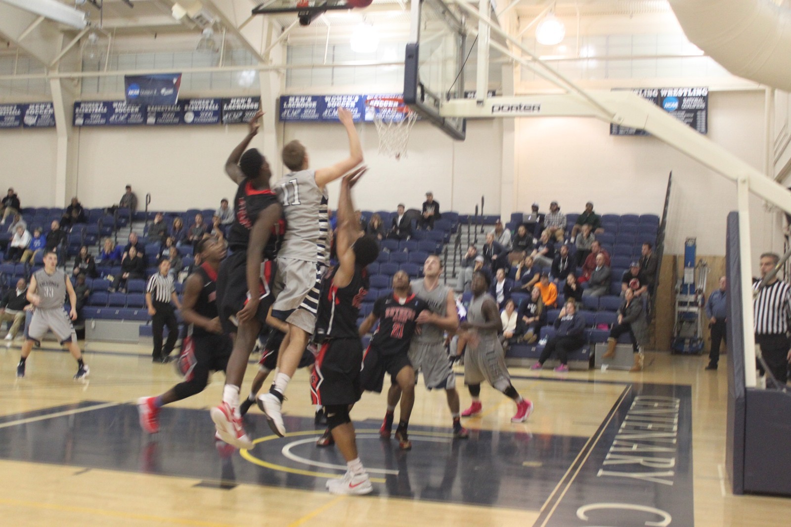 Jake Logue - 2016-17 - Men's Basketball - Centenary University Athletics