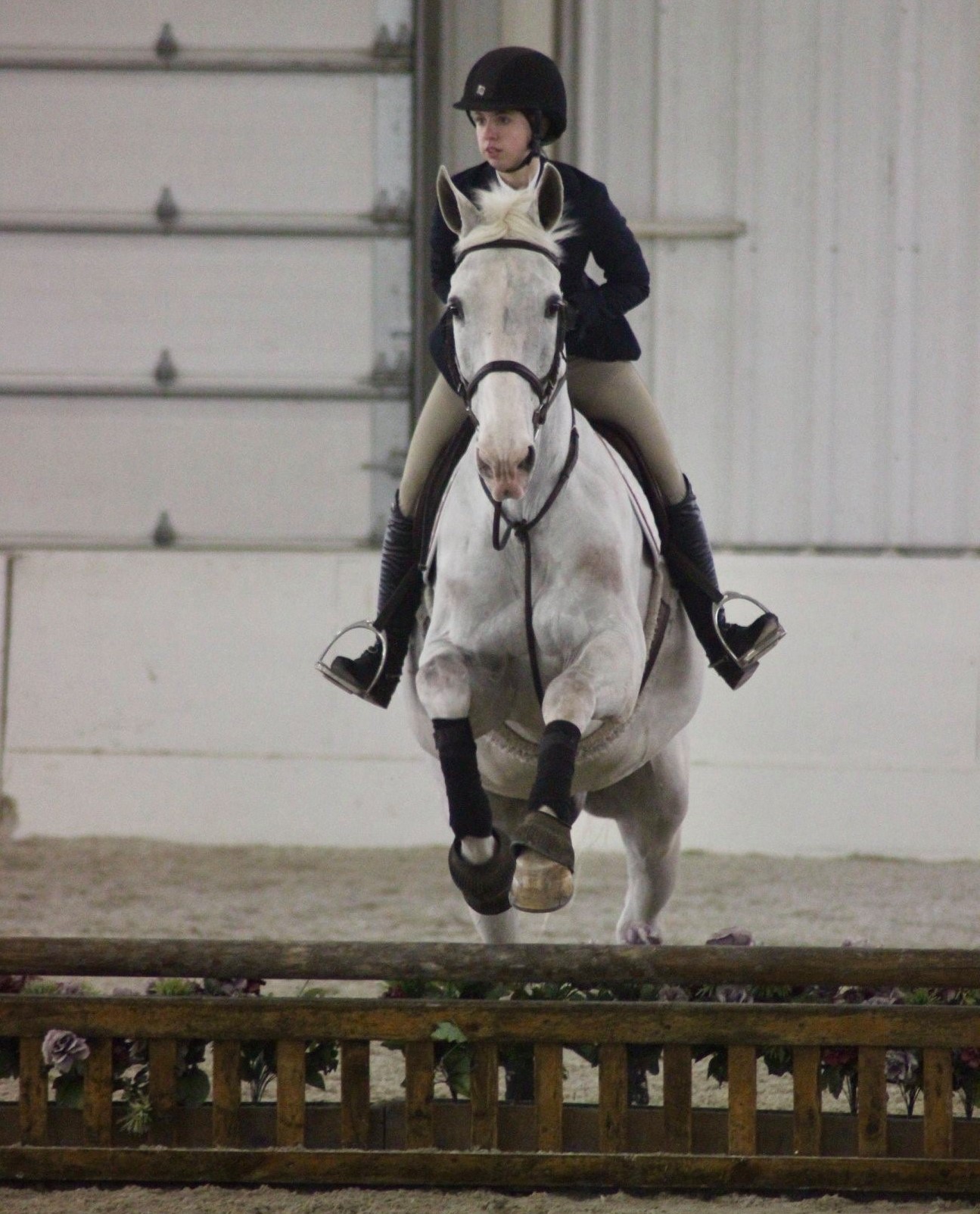 Sophia Strain - 2022-23 - Equestrian - Centenary University Athletics