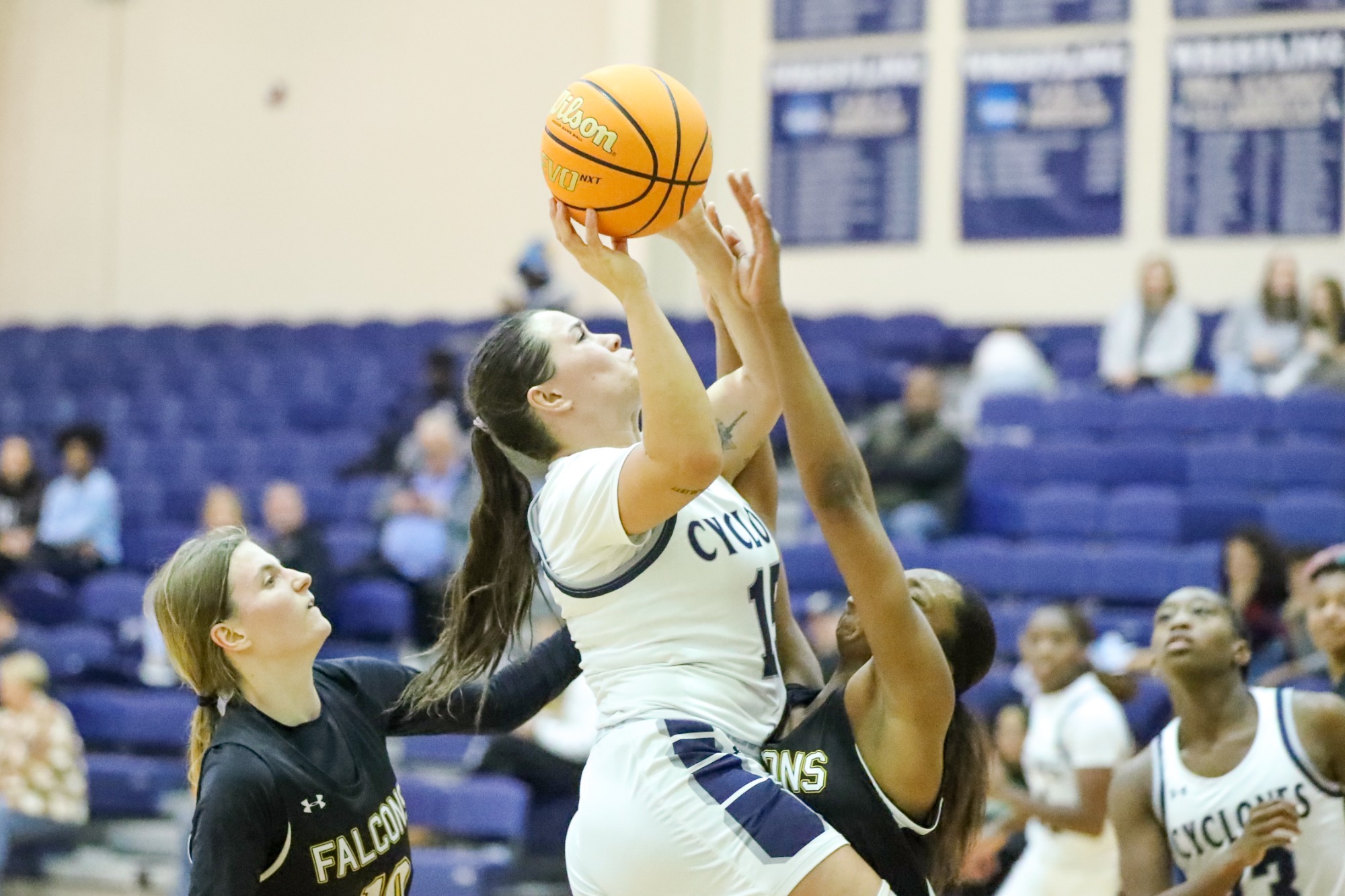 Brie Opdyke - 2024-25 - Women's Basketball - Centenary University Athletics