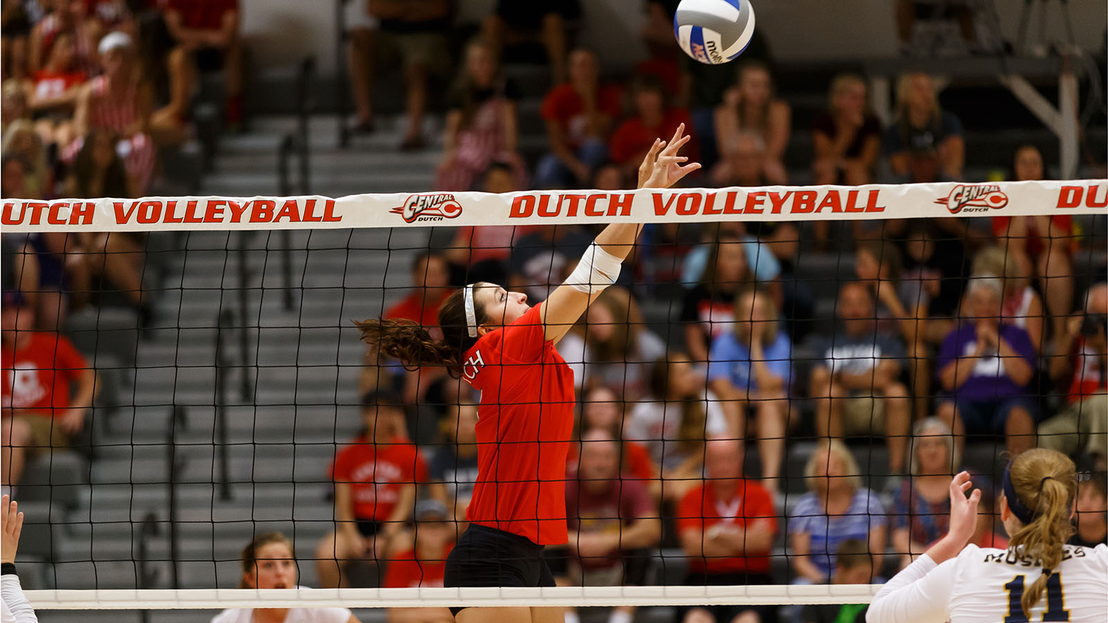 Promising start to 2018 campaign for Dutch volleyball team - Central ...