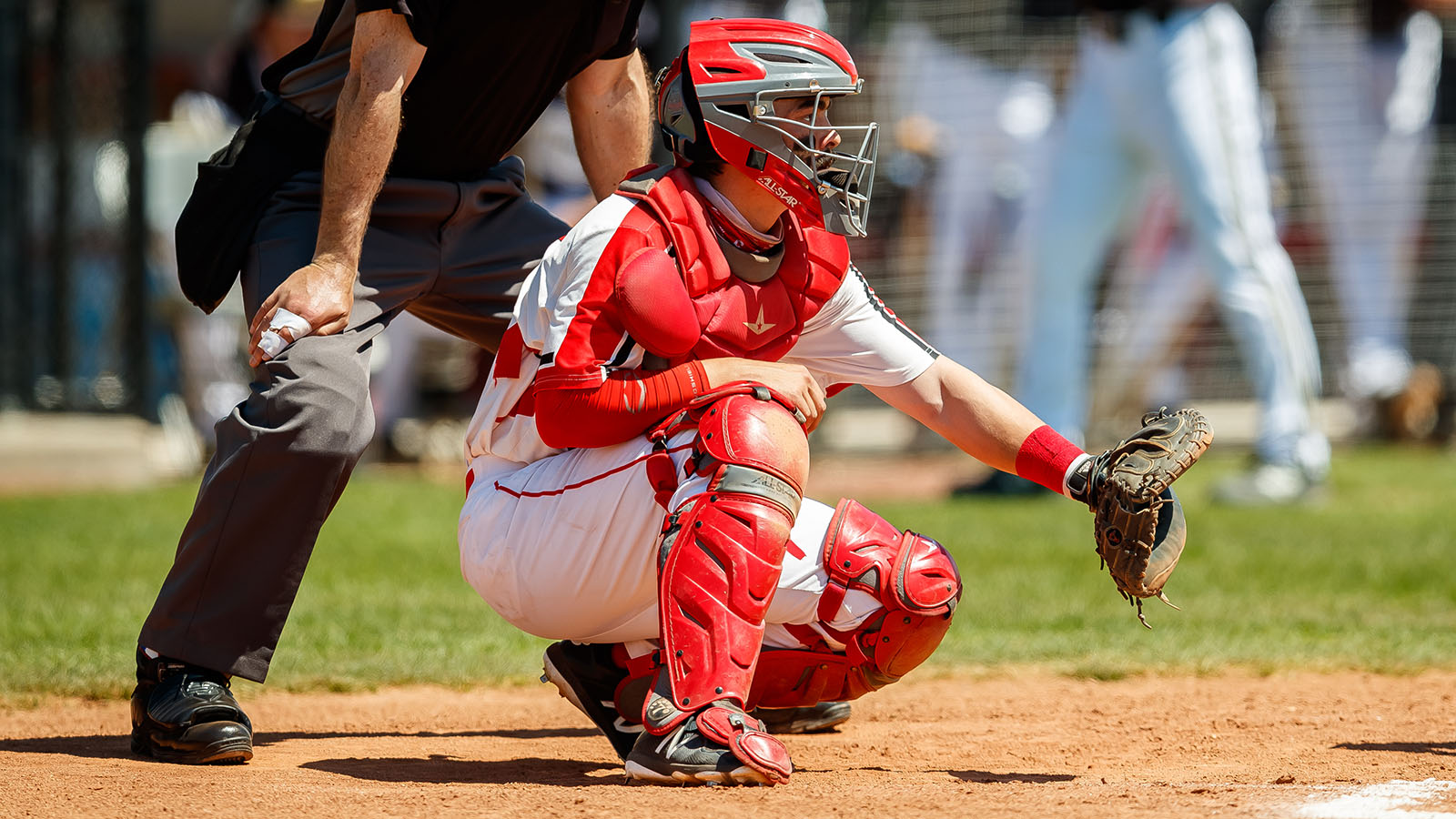 Dutch baseball team exits from league tournament - Central College ...