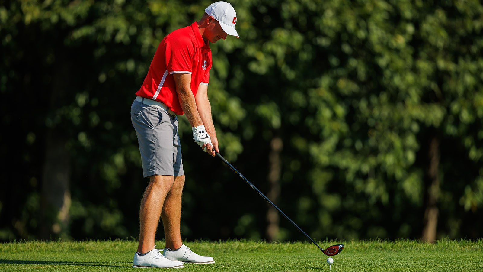 Charlie Gaer - Men's Golf - Central College Athletics