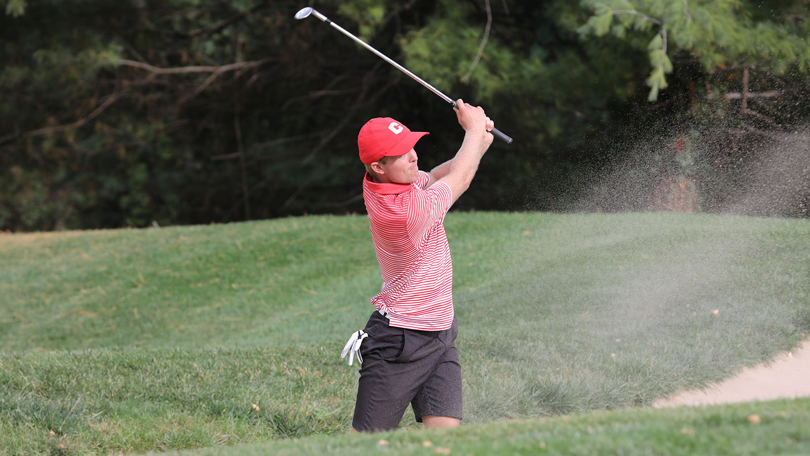 Cole McGriff - Men's Golf - Central College Athletics