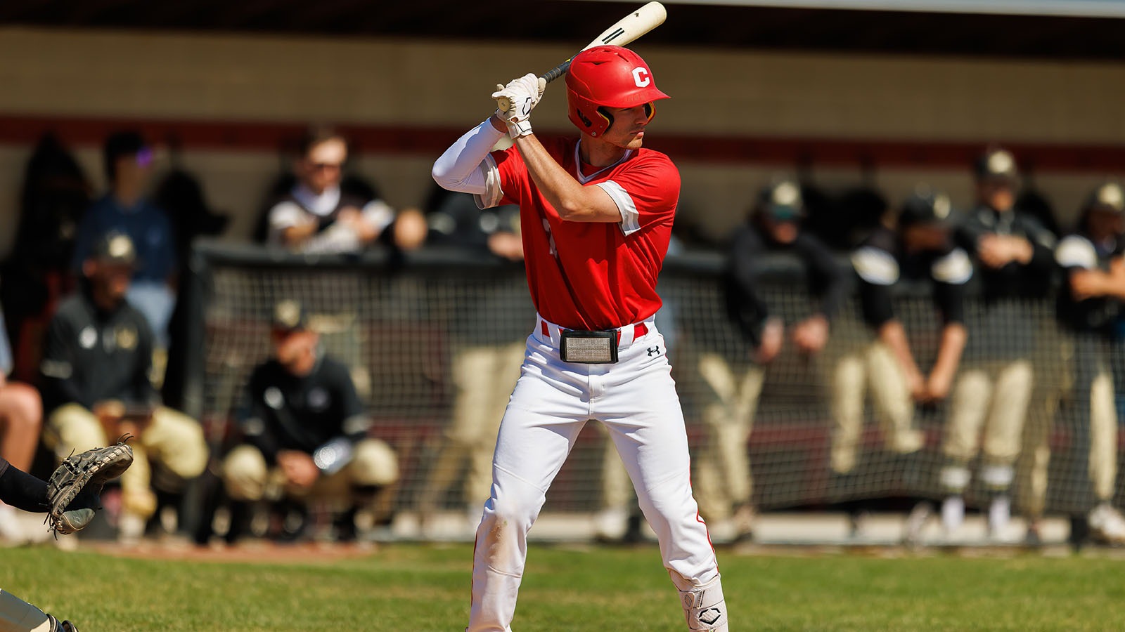 Kasey Carter - Baseball - Central College Athletics