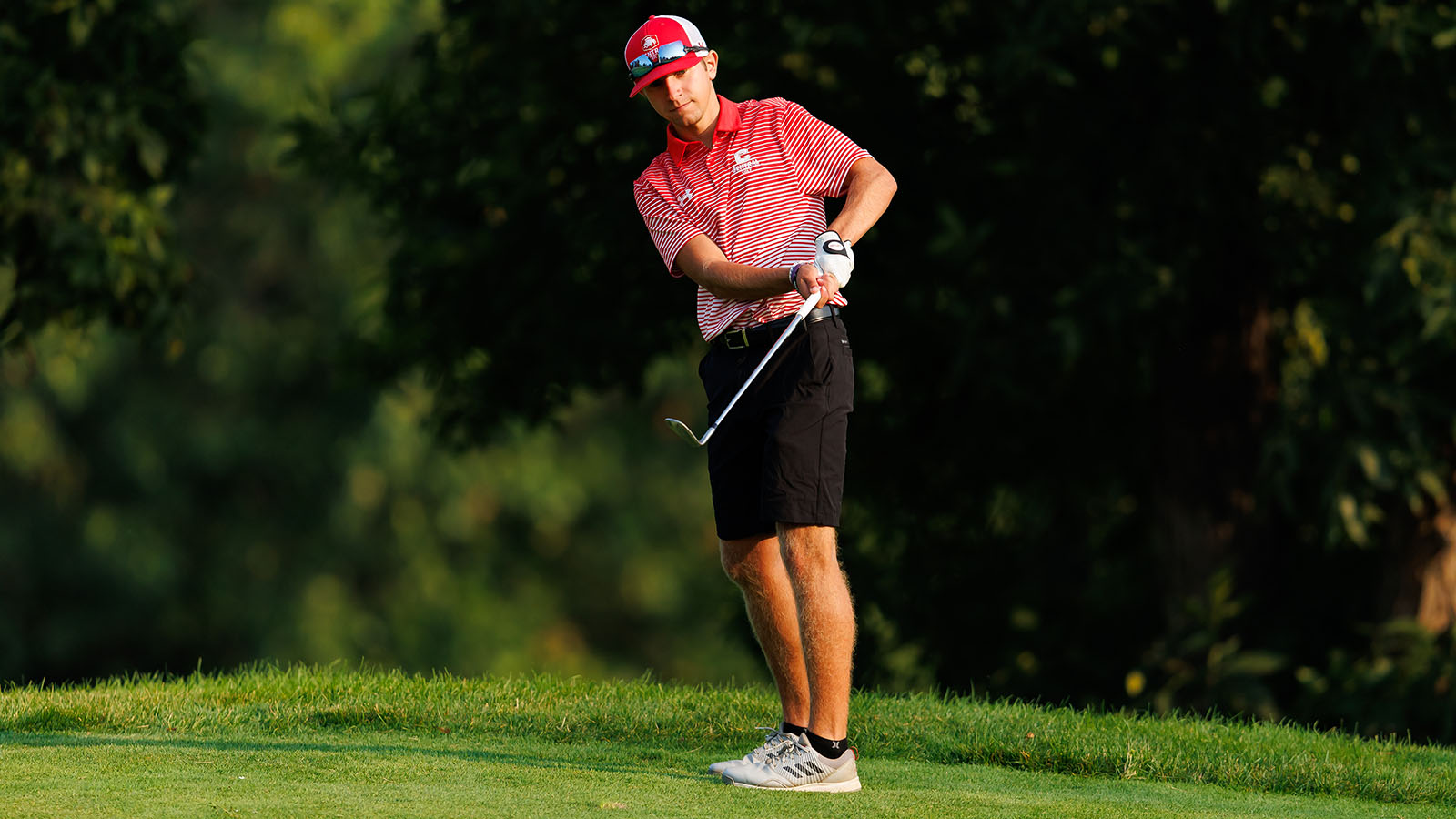 Tate Nelson - Men's Golf - Central College Athletics