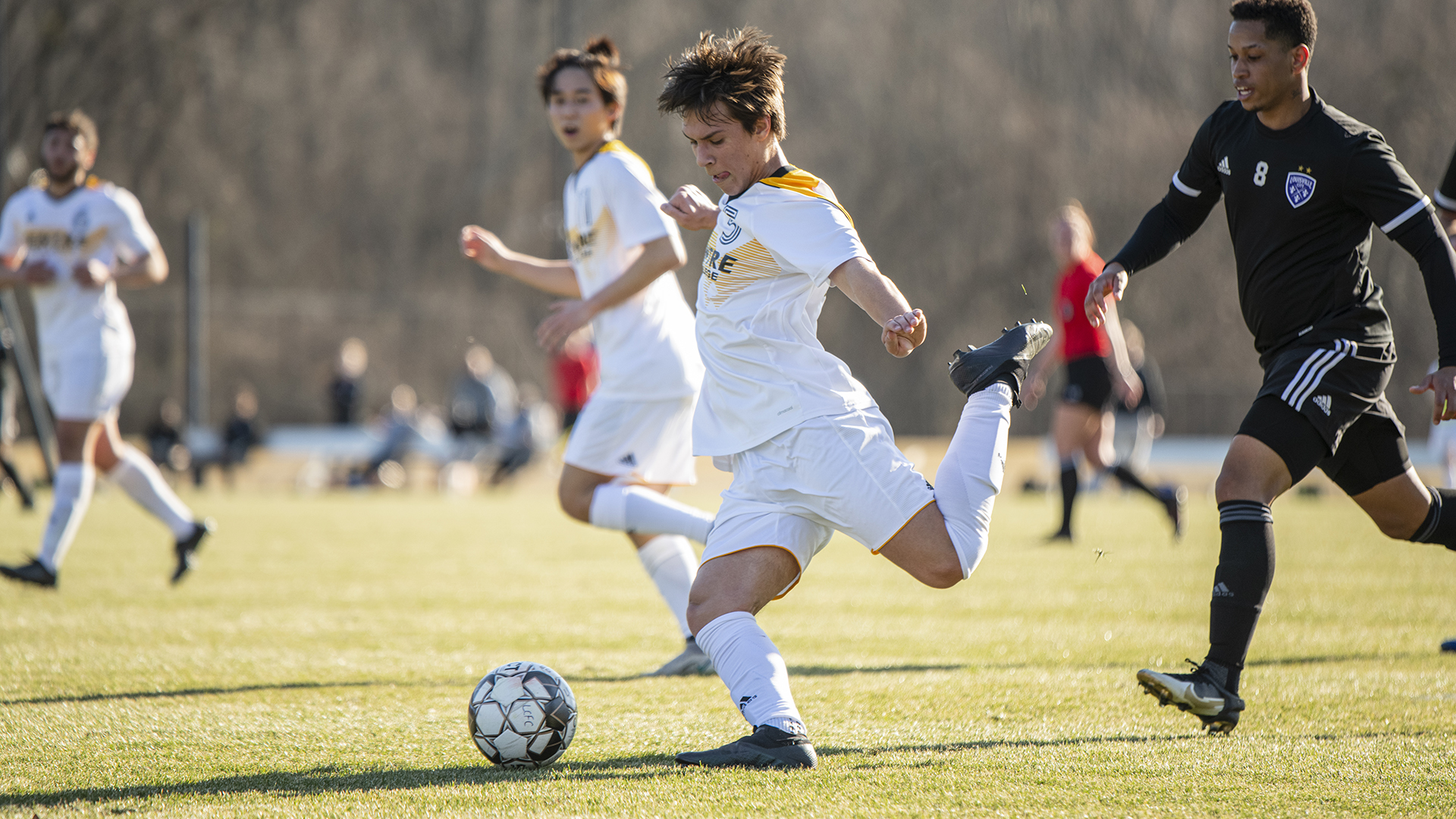 Everett Hauser - Men's Soccer - Centre College Athletics
