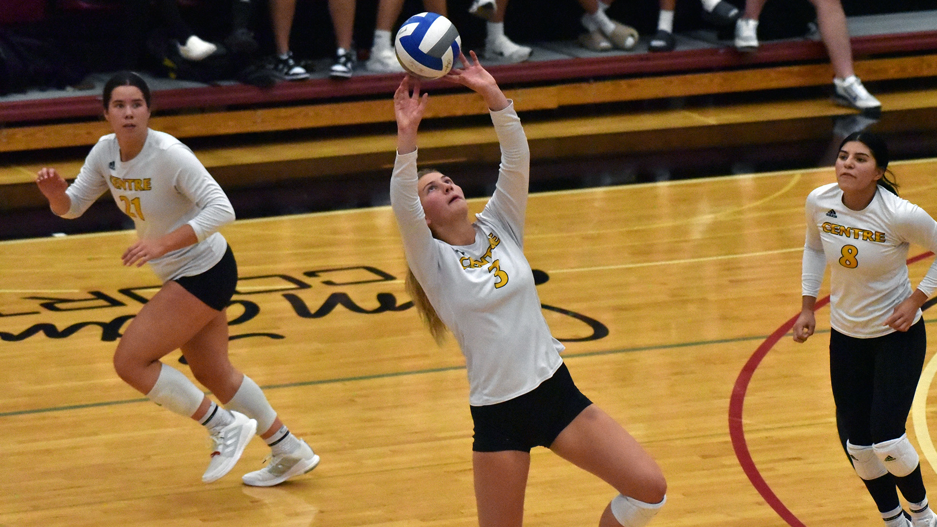 Meredith Phillips - Women's Volleyball - Centre College Athletics