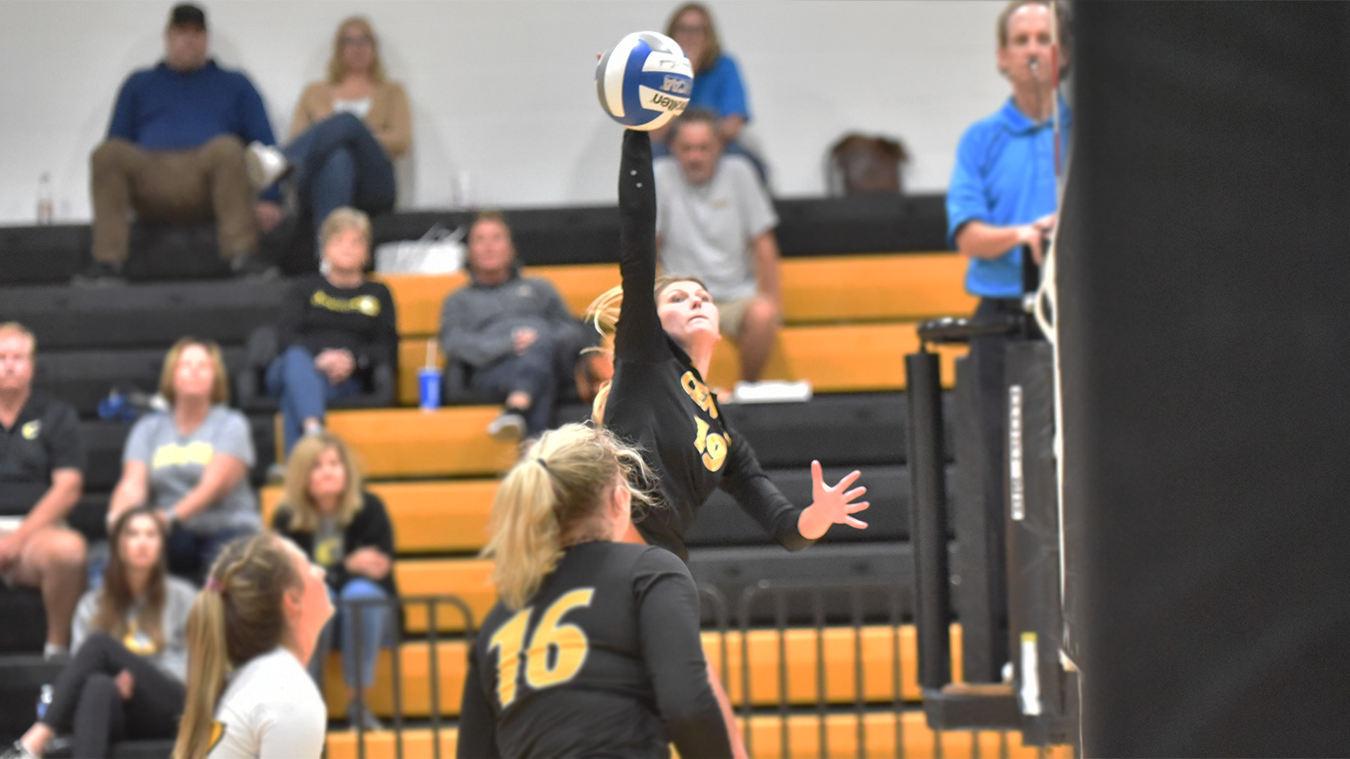 Emily Sullivan - Women's Volleyball - Centre College Athletics