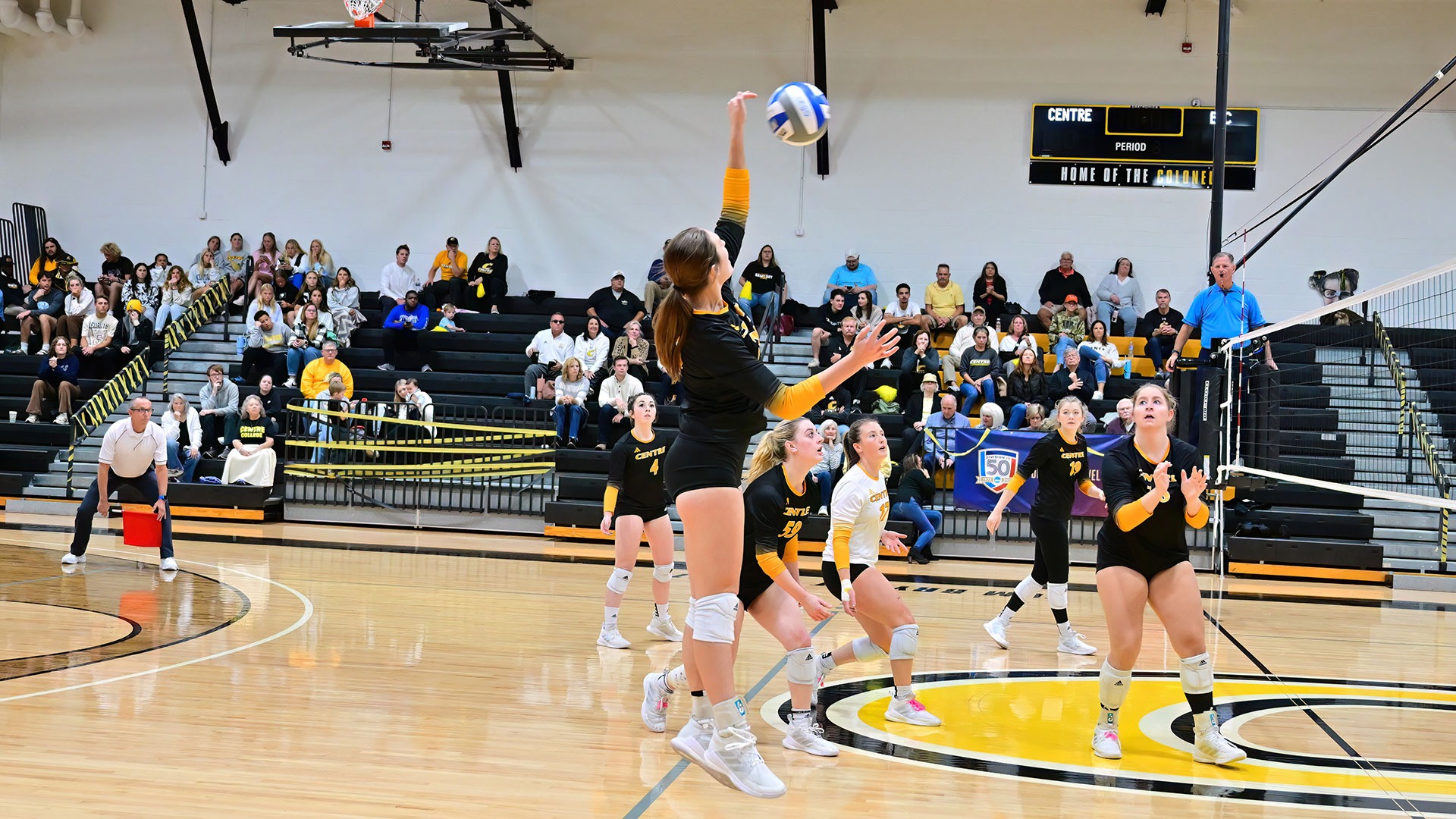 Colonels sweep Petrels to advance to SAA semifinals - Centre College ...