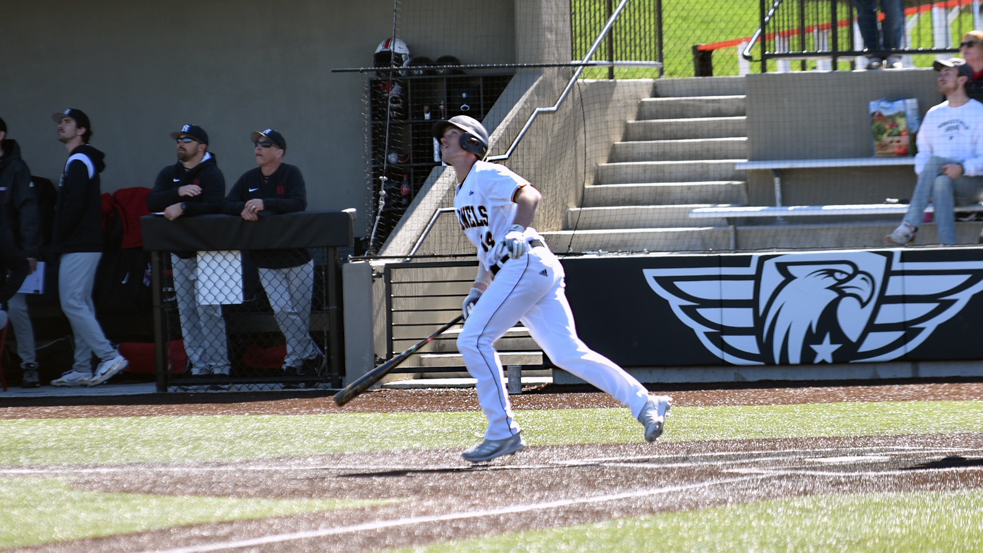 Dillon Di Iorio - Baseball - Centre College Athletics