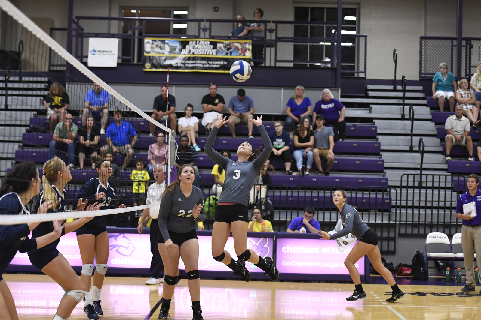 Brooke Petrillo - Women's Volleyball - Chatham University Athletics