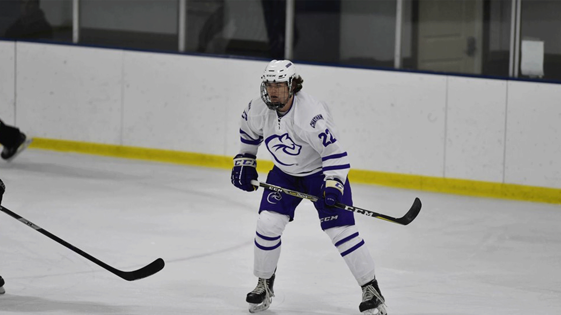 Kevin Fees - Men's Hockey - Chatham University Athletics
