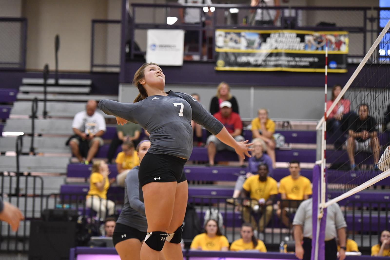 Justyne Lasher - Women's Volleyball - Chatham University Athletics