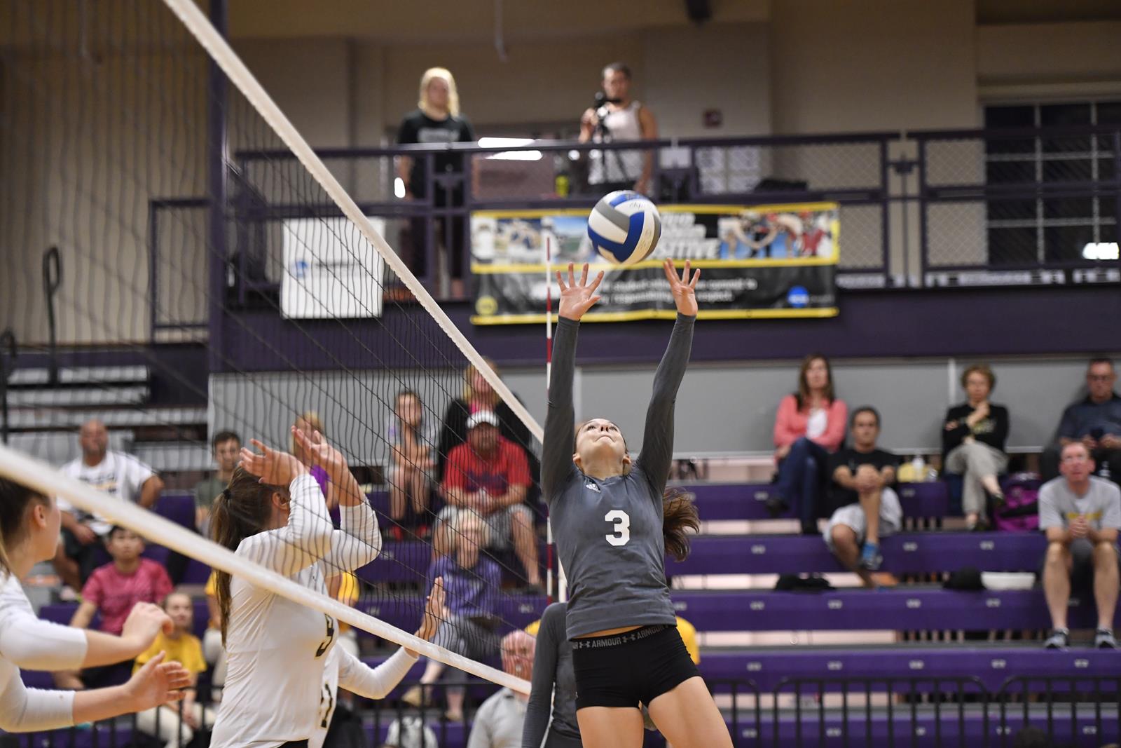 Brooke Petrillo - Women's Volleyball - Chatham University Athletics