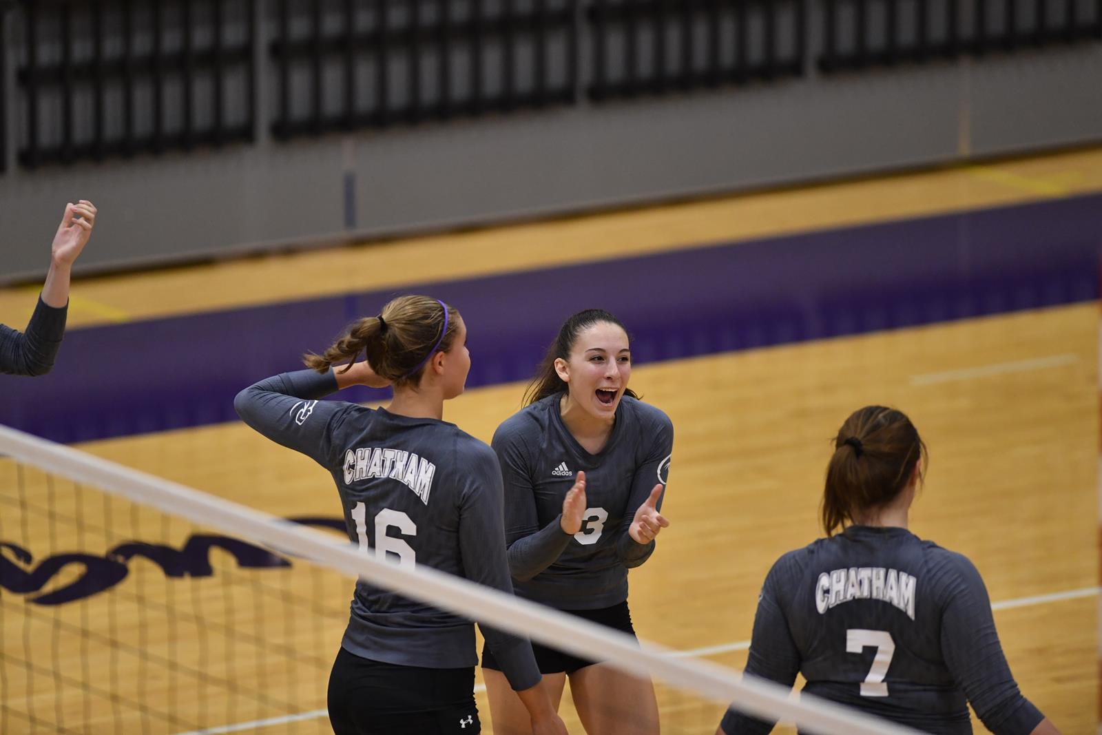 Brooke Petrillo - Women's Volleyball - Chatham University Athletics