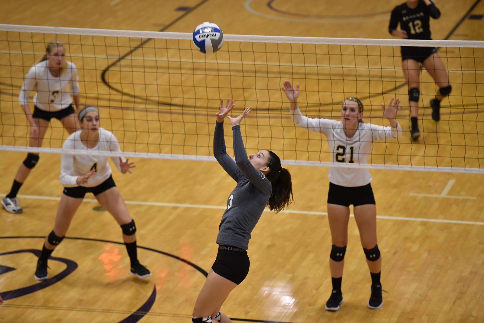 Brooke Petrillo - Women's Volleyball - Chatham University Athletics