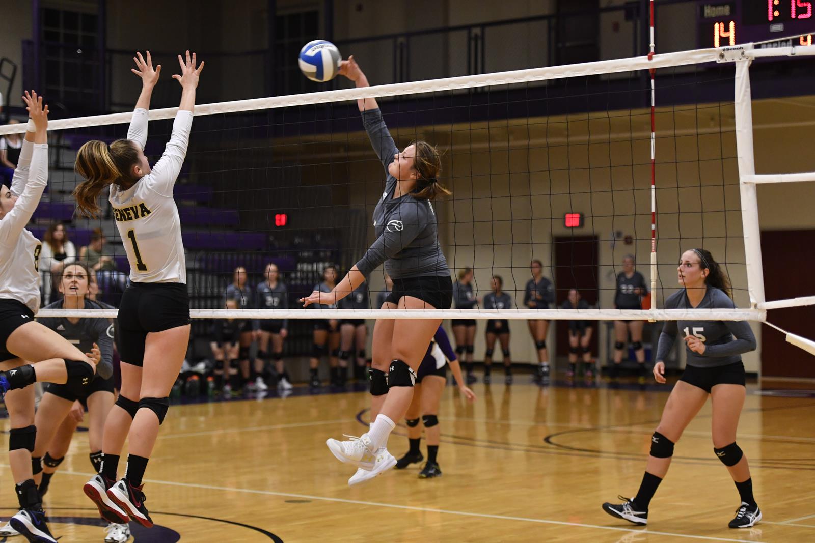 Justyne Lasher - Women's Volleyball - Chatham University Athletics