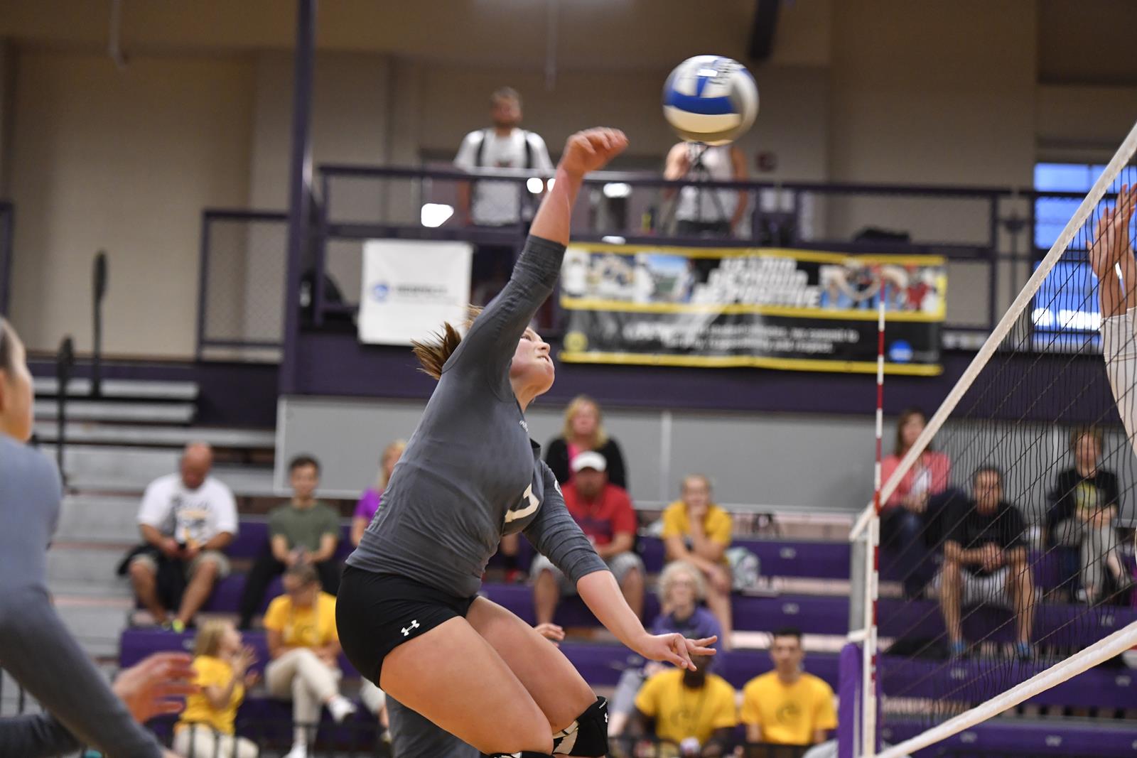 Justyne Lasher - Women's Volleyball - Chatham University Athletics