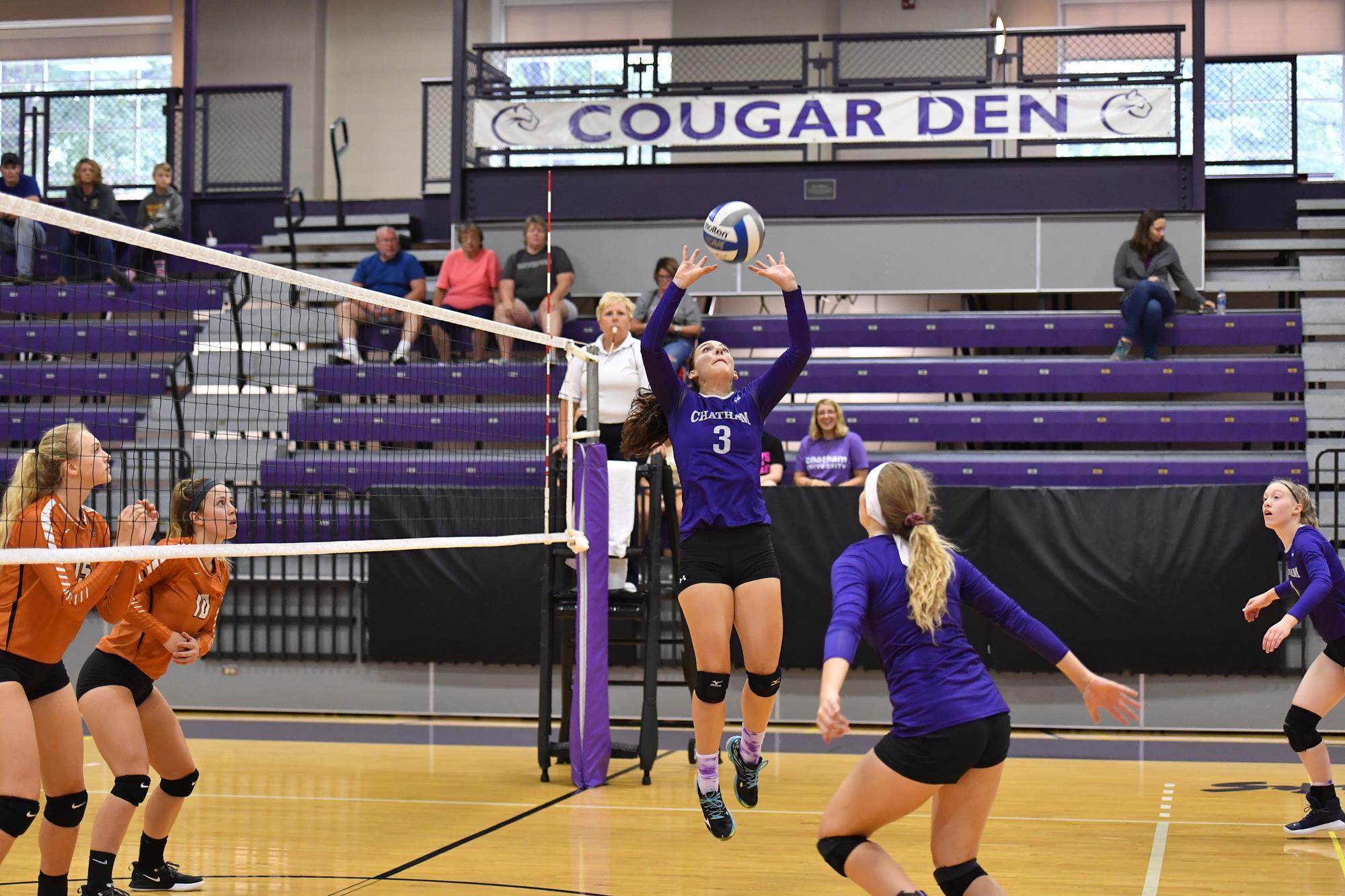 Brooke Petrillo - Women's Volleyball - Chatham University Athletics