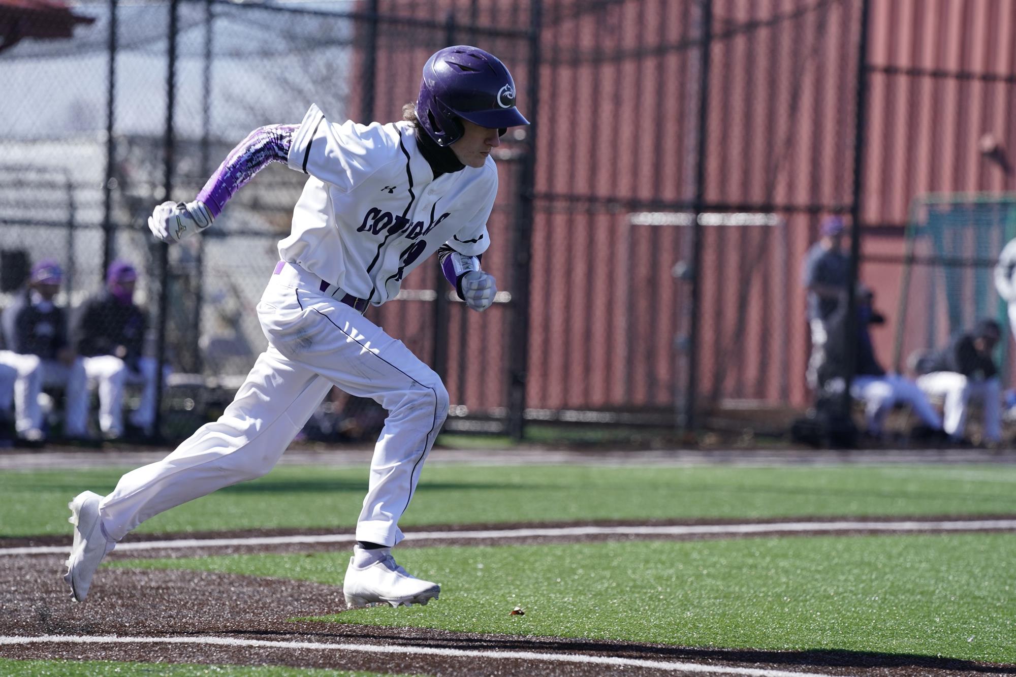 Baseball Earns Split with Elms - Chatham University Athletics