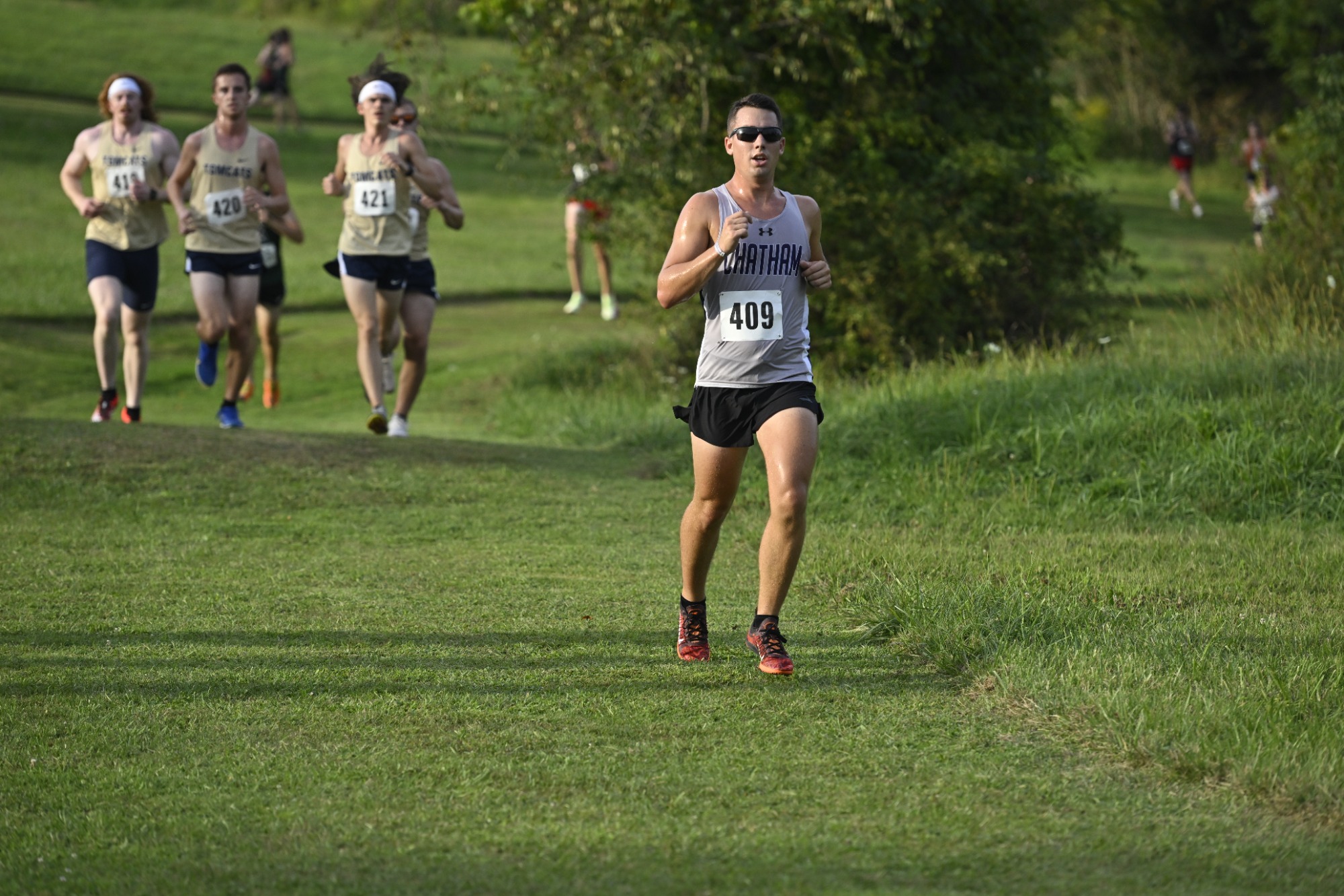 Brandon Romell - Men's Cross Country - Chatham University Athletics