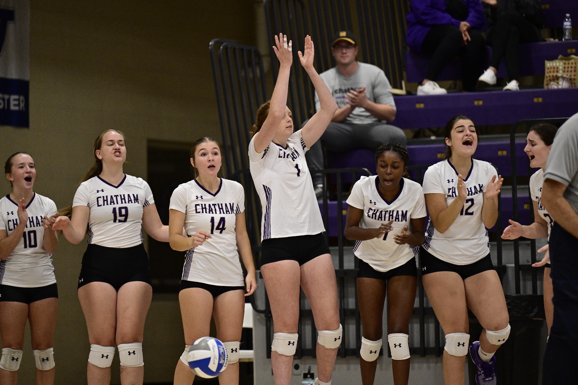 Delaney O'Shea - Women's Volleyball - Chatham University Athletics