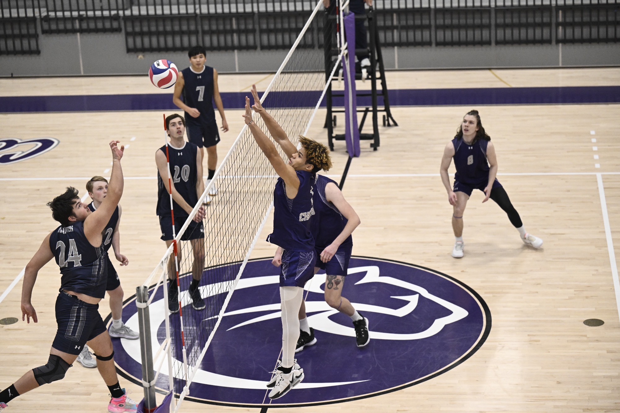 Tyler Mcknight - Men's Volleyball - Chatham University Athletics