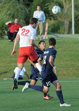 Patrick Steger - Men's Soccer - Chestnut Hill College Athletics