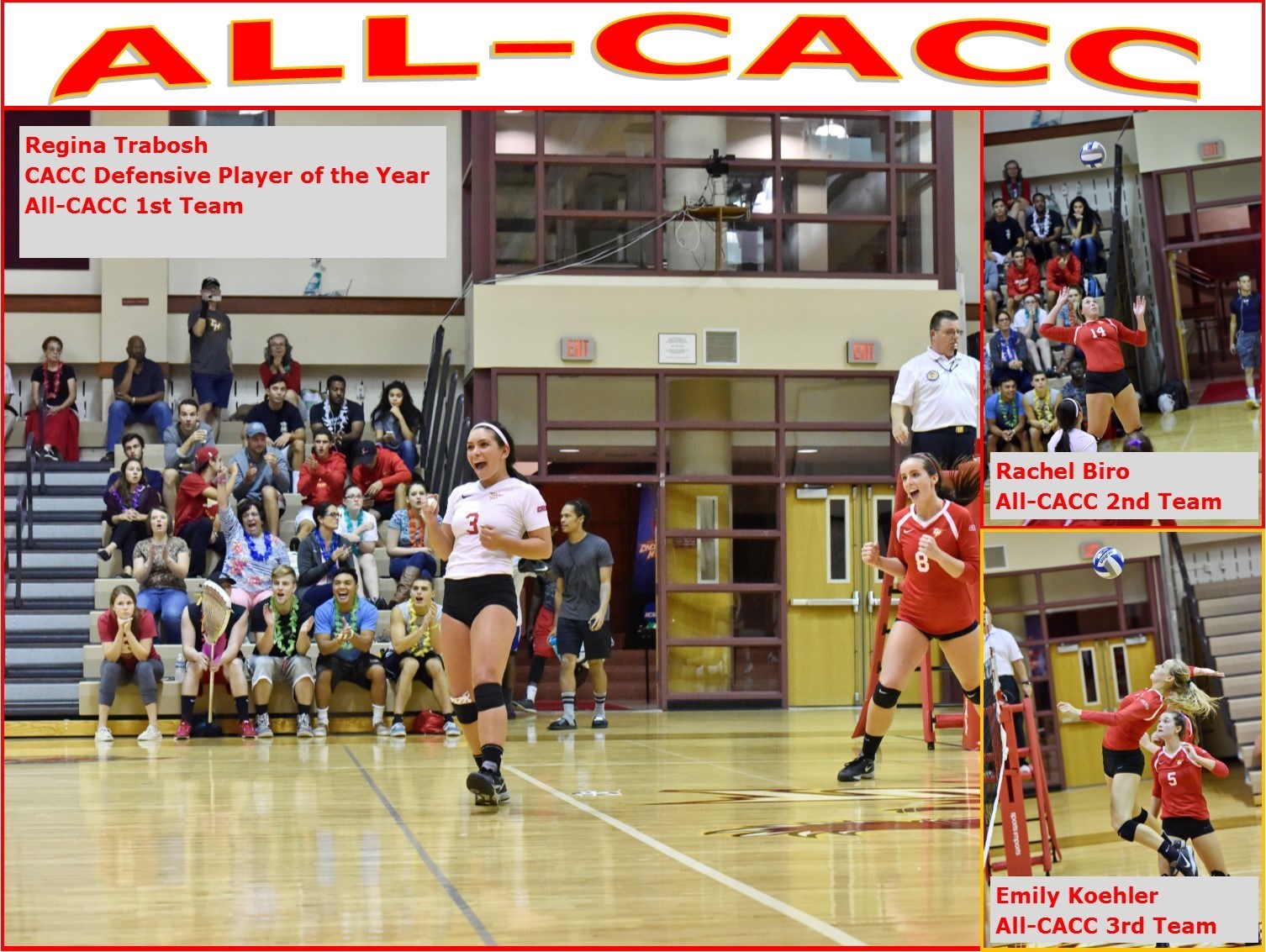 Rachel Biro - Women's Volleyball - Chestnut Hill College Athletics