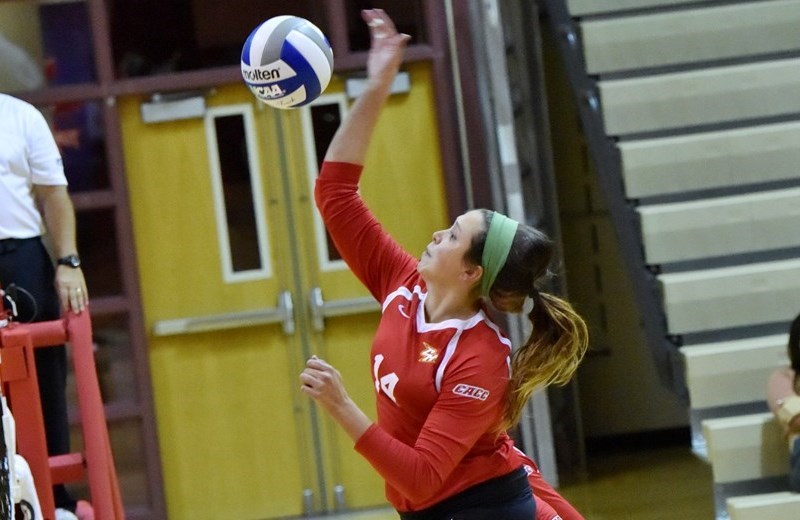 Rachel Biro - Women's Volleyball - Chestnut Hill College Athletics