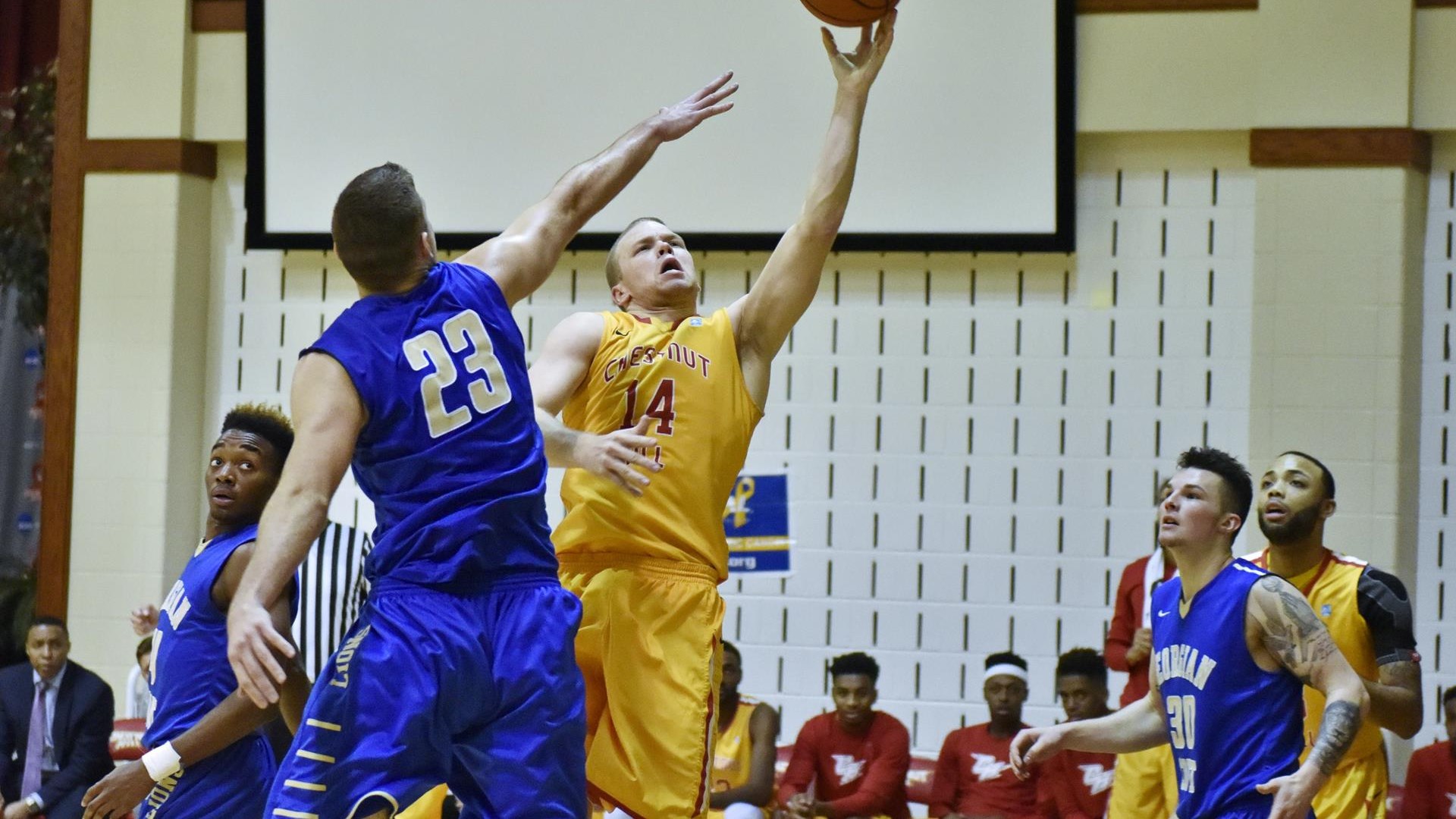 Ed McWade - Men's Basketball - Chestnut Hill College Athletics