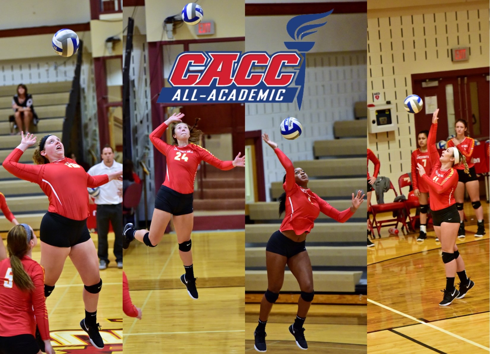 Kara Turtzer - Women's Volleyball - Chestnut Hill College Athletics