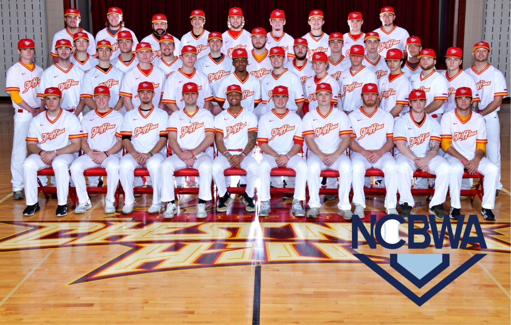 Dylan Jackson - Baseball - Chestnut Hill College Athletics