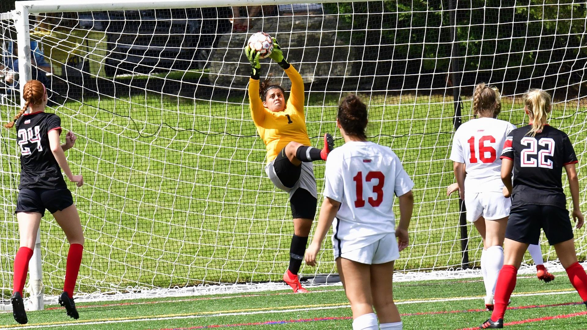 Amanda Ianniciello - Women's Soccer - Chestnut Hill College Athletics