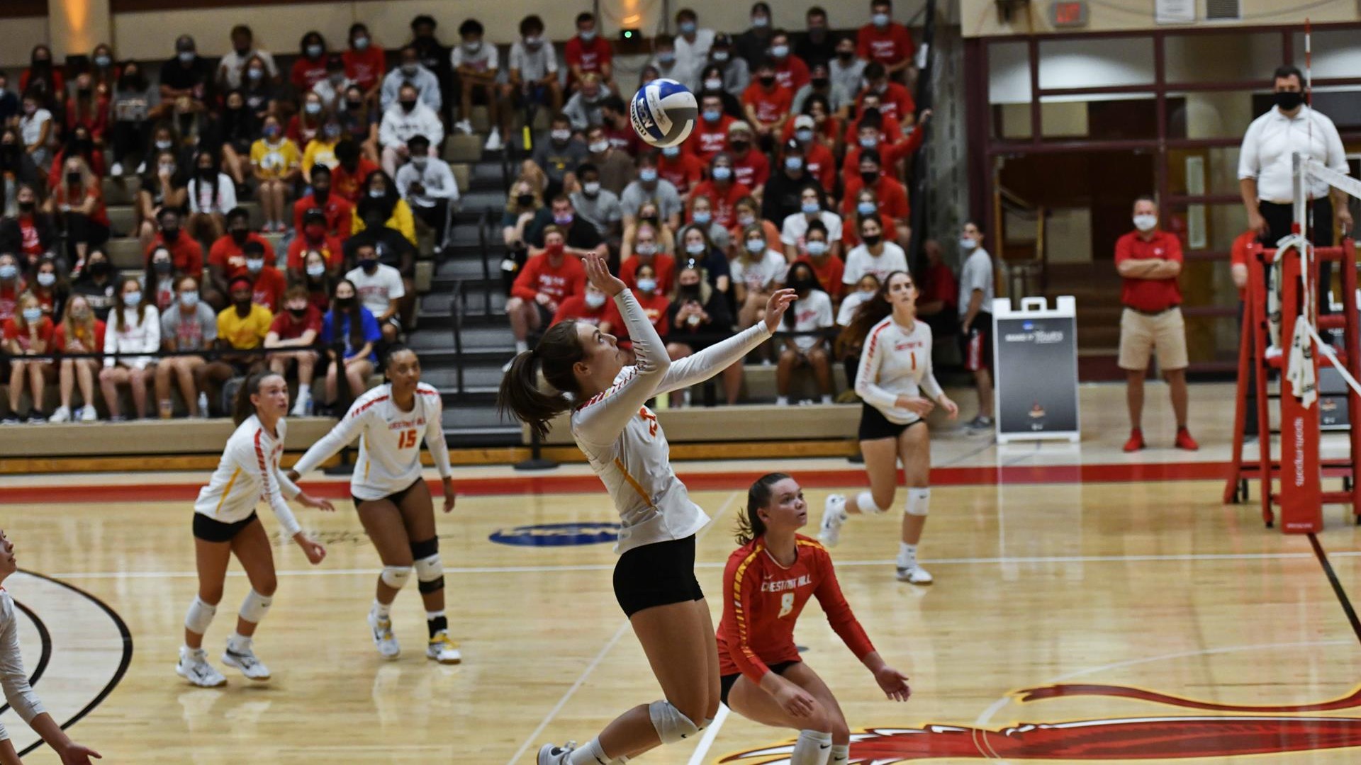 Erika Dubosky - Women's Volleyball - Chestnut Hill College Athletics