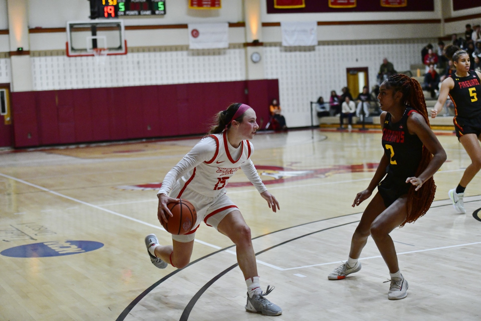 Griffins Welcome Megan Fox as Their New Head Women's Basketball Coach ...